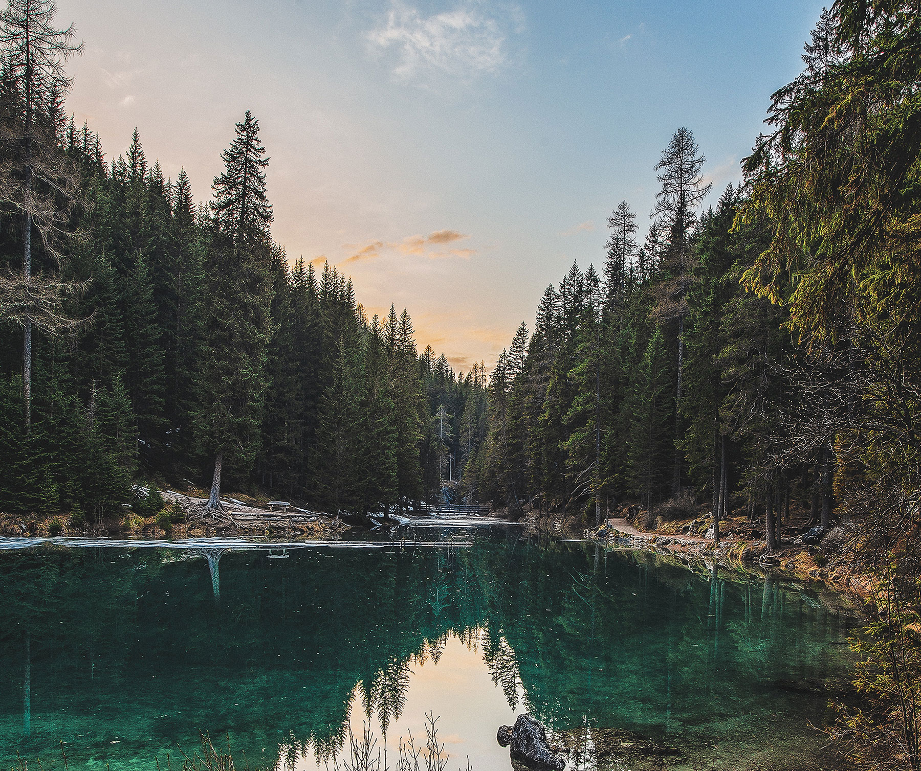 forest-bg – ERGO Grips